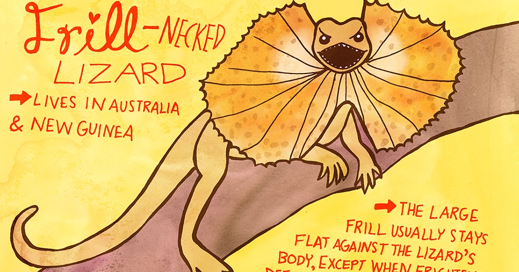 My Zoetrope: 093: Frill-Necked Lizard