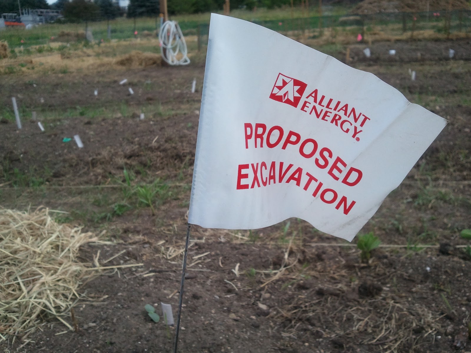 The Urbane Farmer: Proposed excavation