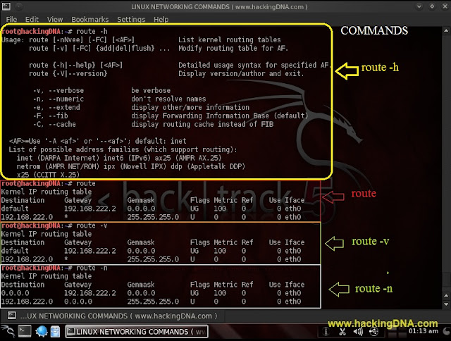 HackingDNA: LINUX NETWORKING COMMANDS ON BACKTRACK 5