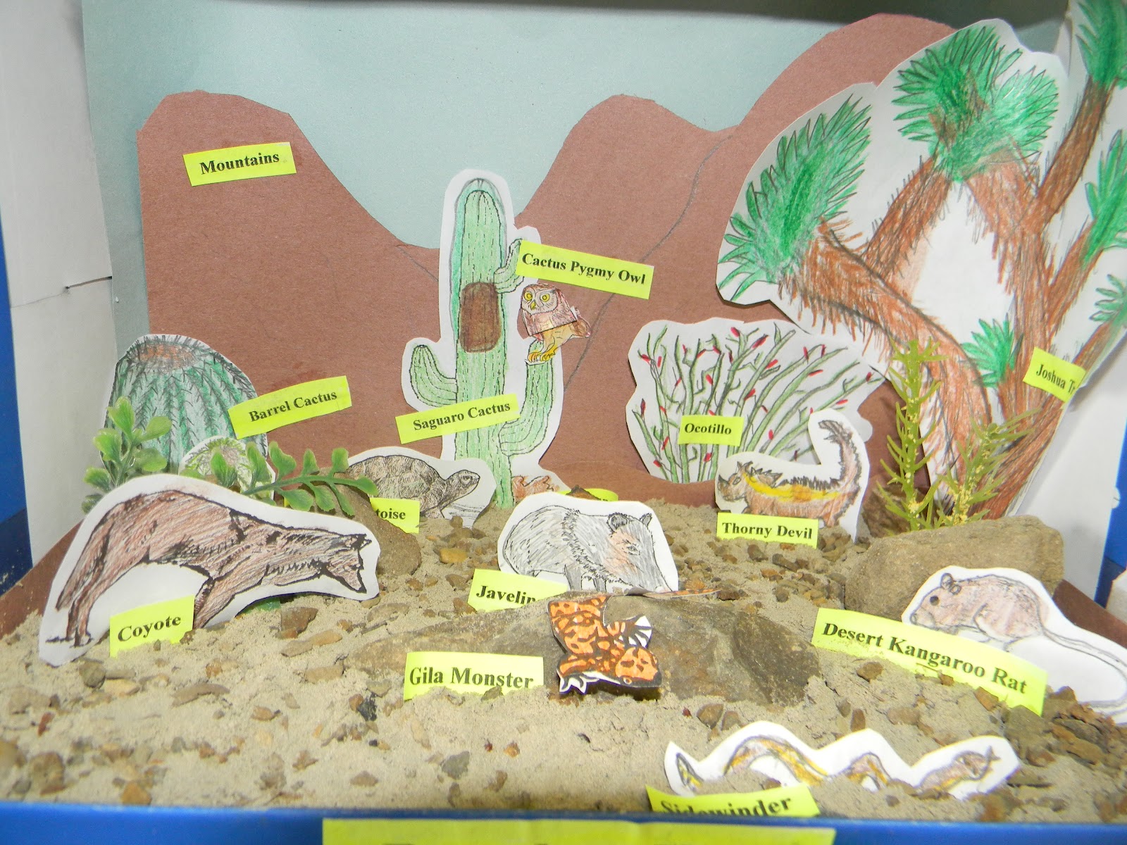 Middle School Science