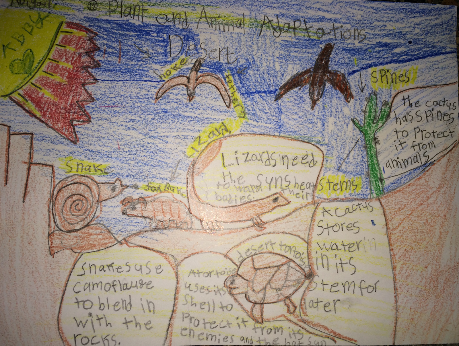 Totally Terrific in Texas: Reading Street- Desert Stories