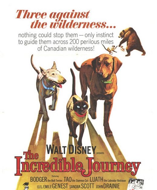 The Disney Films: The Incredible Journey - 1963