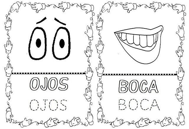 Libros para colorear partes del cuerpo - Imagui