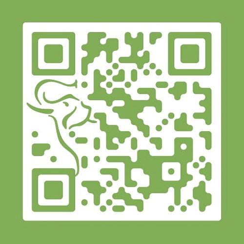The Eloquent Woman No Projector No Problem Use QR Codes SlideShare To Share Your Slides the-eloquent-woman-no-projector-no-problem-use-qr-codes-slideshare-to-share-your-slides