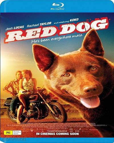 Watch Red Dog 2011 Full Movie Online watch-red-dog-2011-full-movie-online