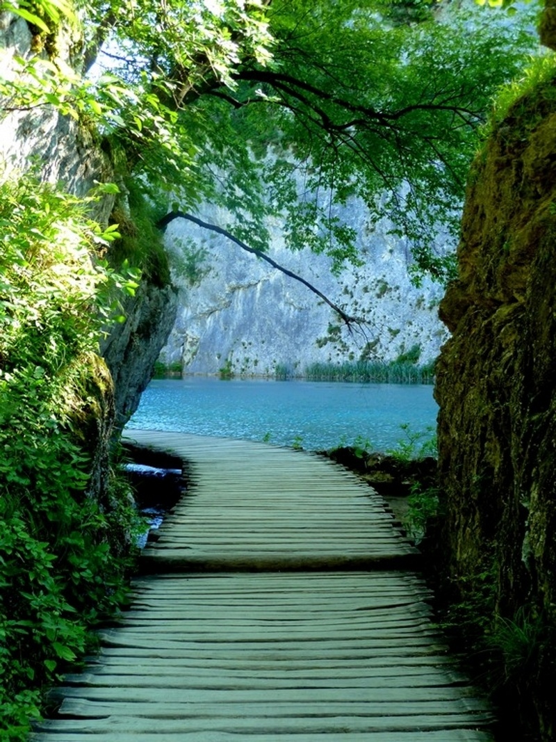 Beautiful Nature Information Hub Of Besties beautiful-nature-information-hub-of-besties