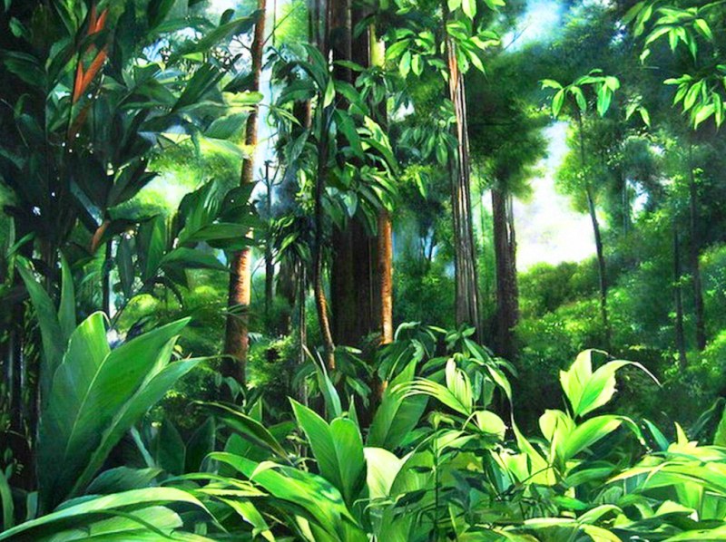 Bosque tropical dibujo - Imagui