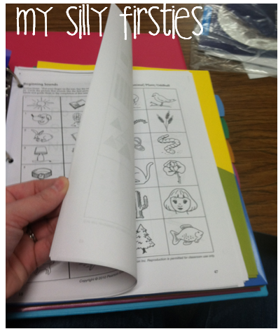 Word Study Binder | Teaching With Haley O'Connor