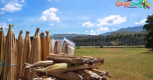 Ecolhoroscopia: Venezuela: Hacienda Santa Teresa un ejemplo de amor Ecolhoroscopia: Venezuela: Hacienda Santa Teresa un ejemplo de amor