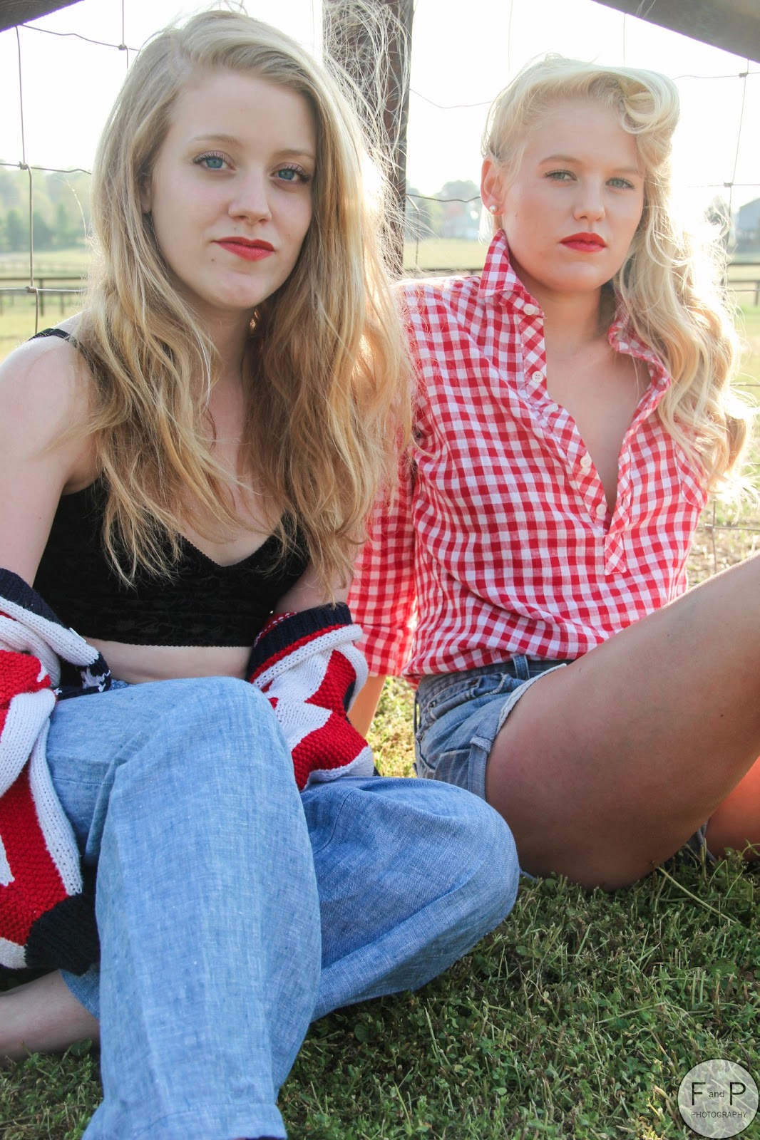 Farm Fresh R gingham farm-fresh-r-gingham