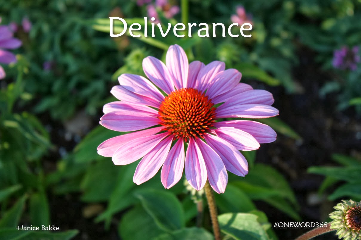 JBB s Musings Deliverance One Word 2014 jbb-s-musings-deliverance-one-word-2014