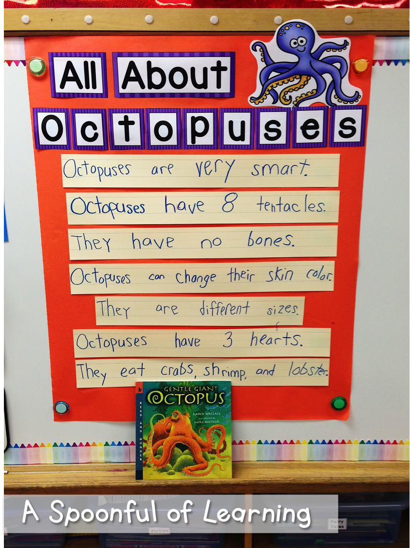 Ocean Unit Study - A Spoonful of Learning