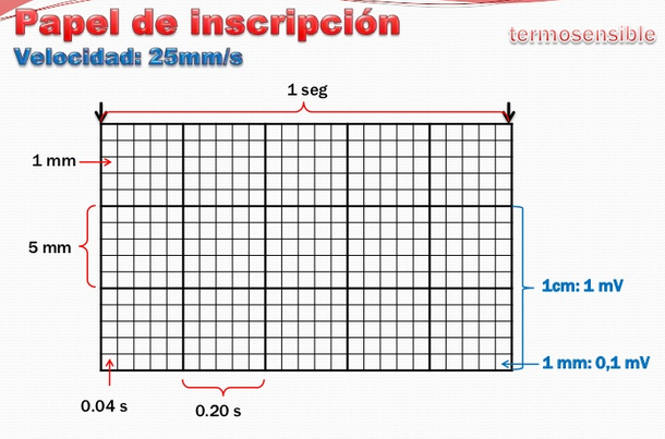 Portafolio de evidencia de la materia de fisiología básica : papel de inscripción del ECG.