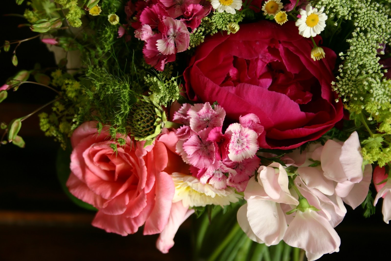 Common Farm Flowers | The Flower Farmer | British flowers by post ... Common Farm Flowers | The Flower Farmer | British flowers by post ...