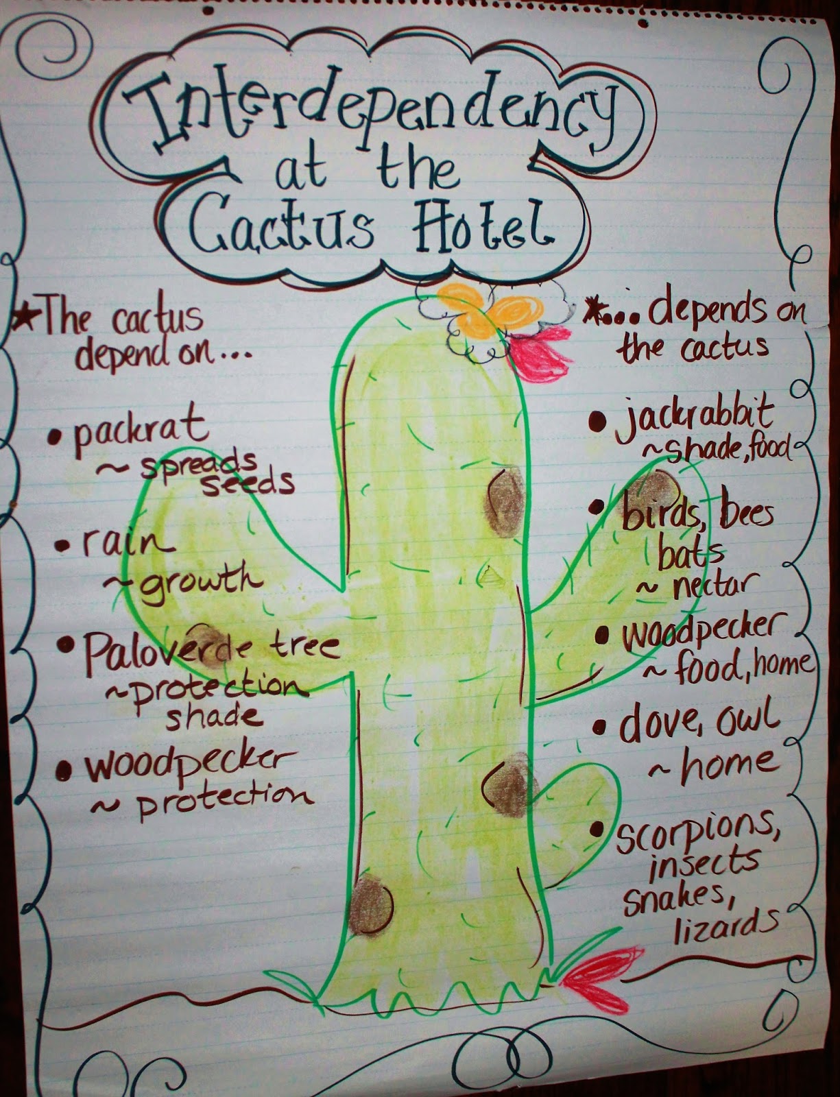 Interdependency Terrariums and The Cactus Hotel | First Grade Wow ...