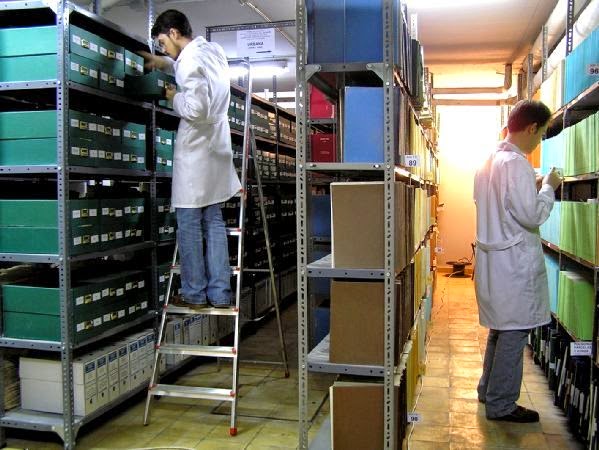 La Archivística 81: Conservación de documentos de Archivo