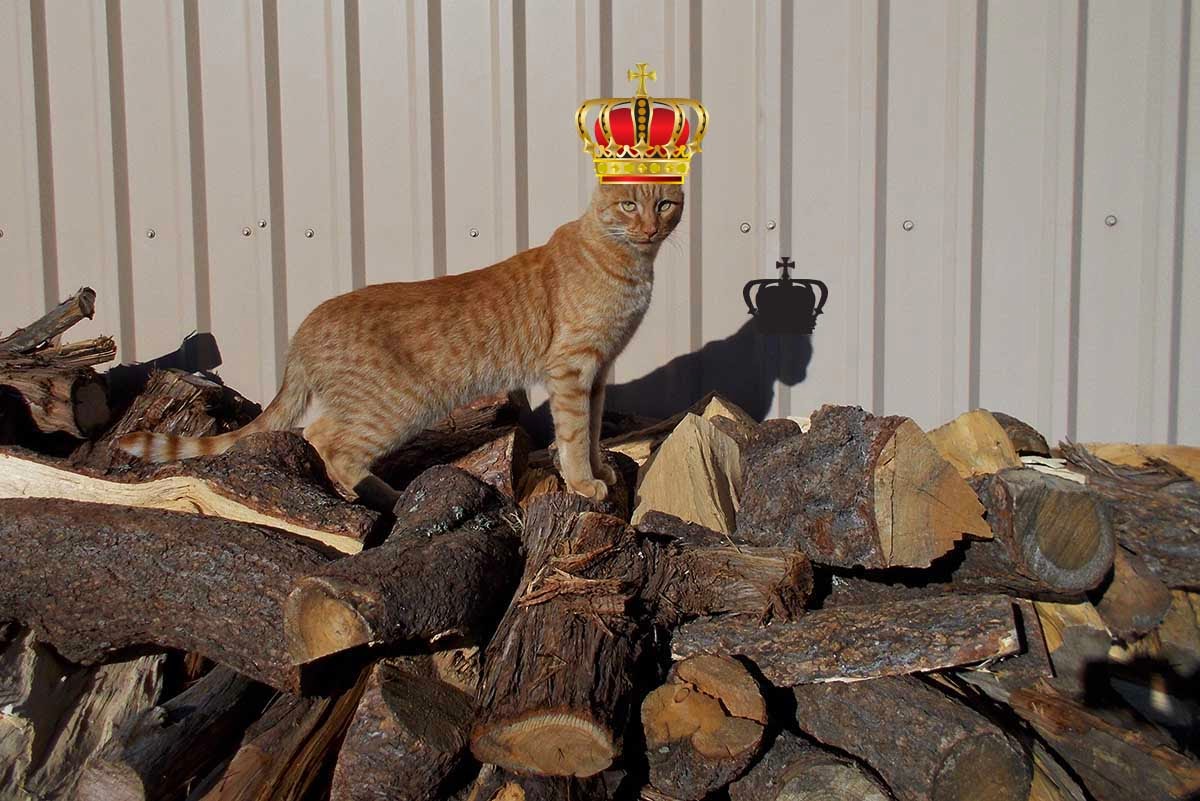The 7MSN Ranch: Saturday encore ~ King of the wood pile