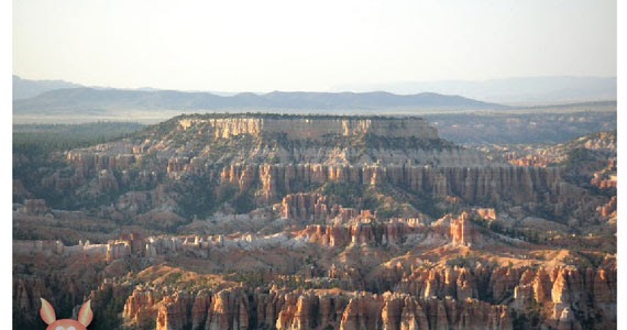 365 Projects Visiting The Grand Canyon Day 9 Creatures 365-projects-visiting-the-grand-canyon-day-9-creatures