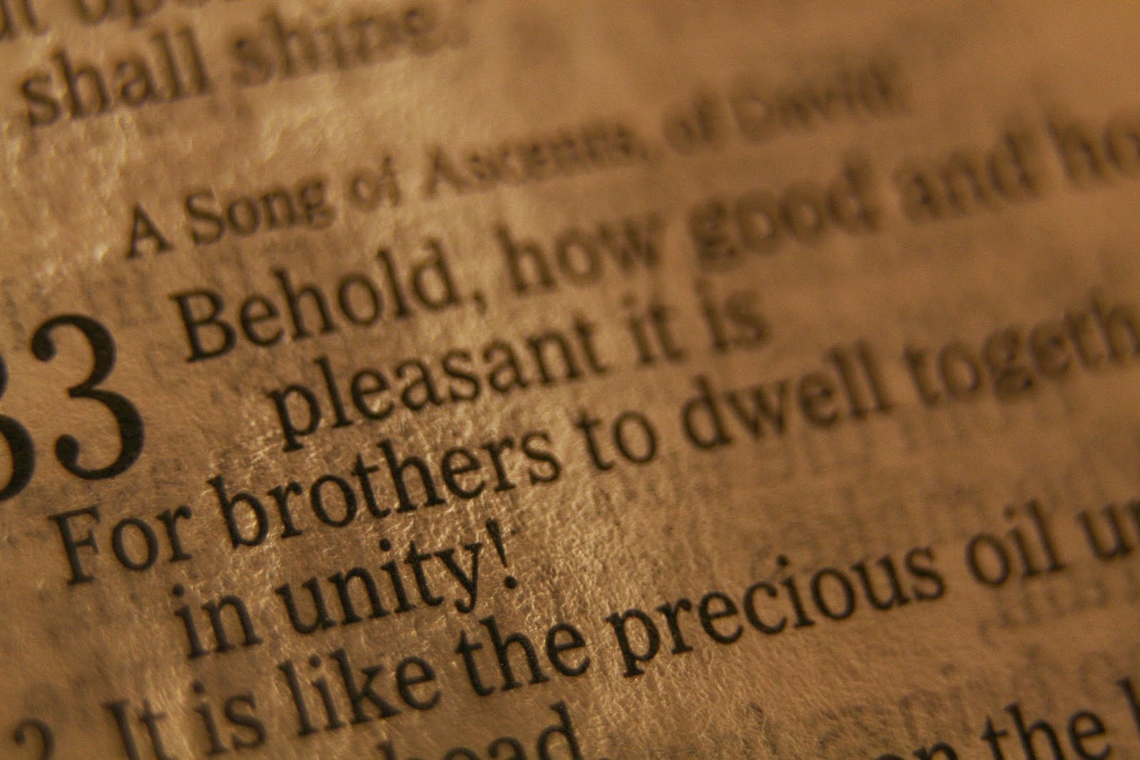 Reformed Baptist Blog Psalm 133 The Blessing Of Unity Teaching Outline reformed-baptist-blog-psalm-133-the-blessing-of-unity-teaching-outline