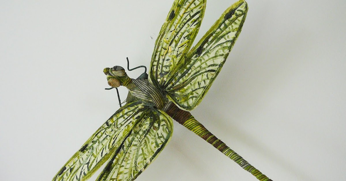 Amazing Dragonfly Insect - Dragonfly Facts, Images, Information ...