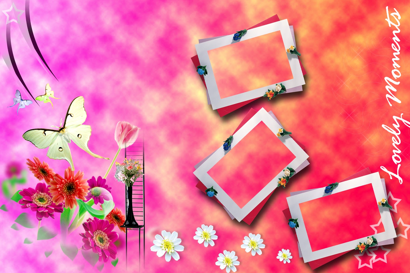 FRAME IN PHOTOSHOP India Result frame-in-photoshop-india-result