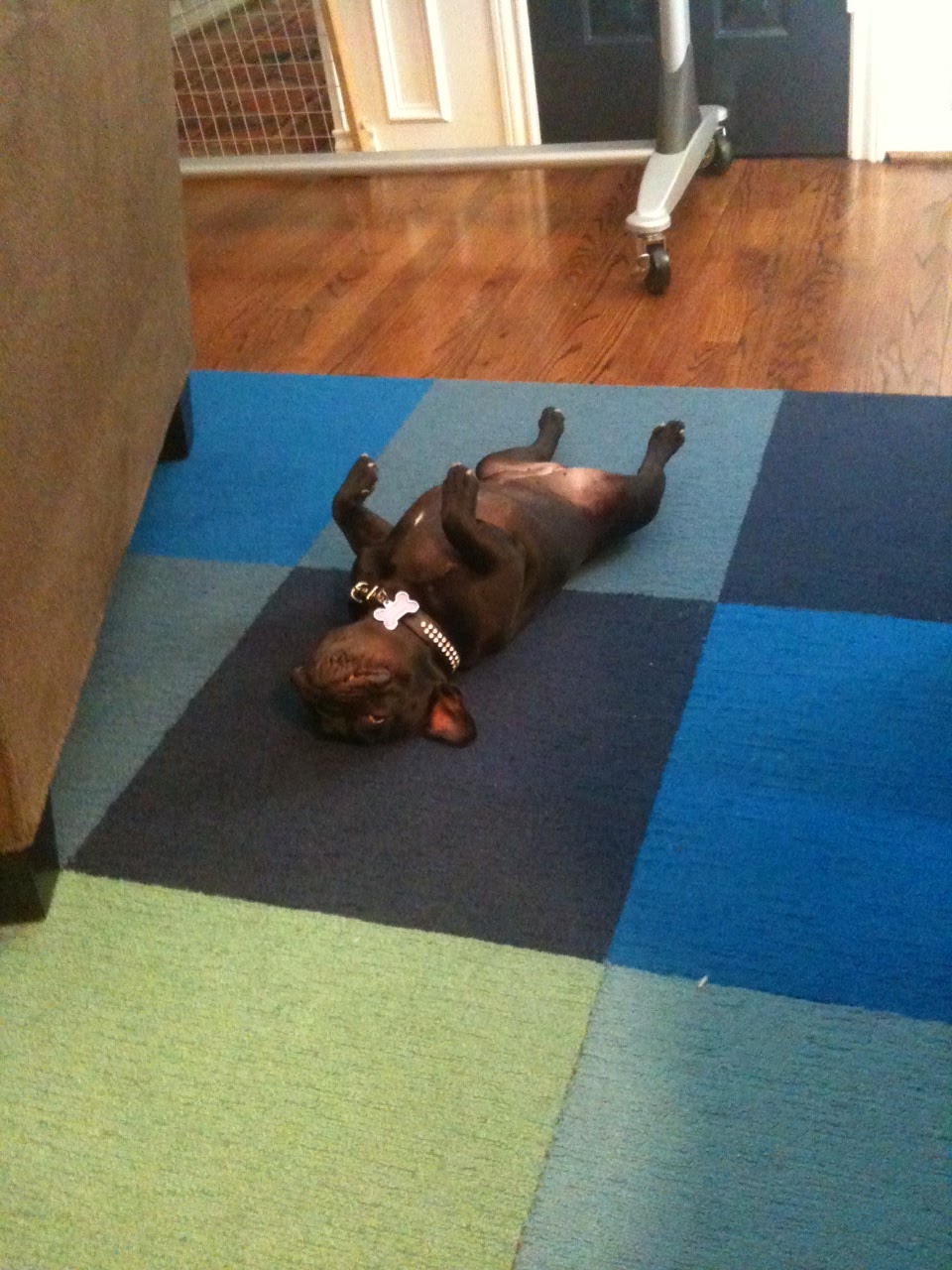 Glorious Gay Days: The Good Life