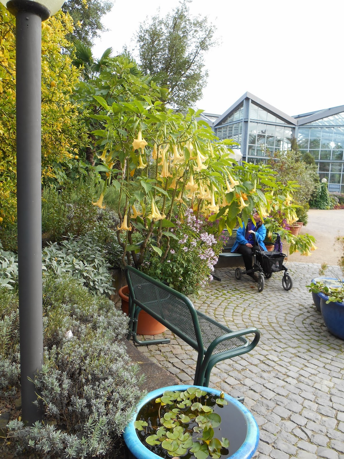 Committed Stitcher: Back Outside