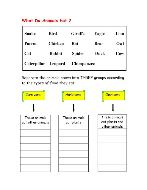 Lee Kay Lin D041280 Science Wonderland: Worksheet: What do animals eat
