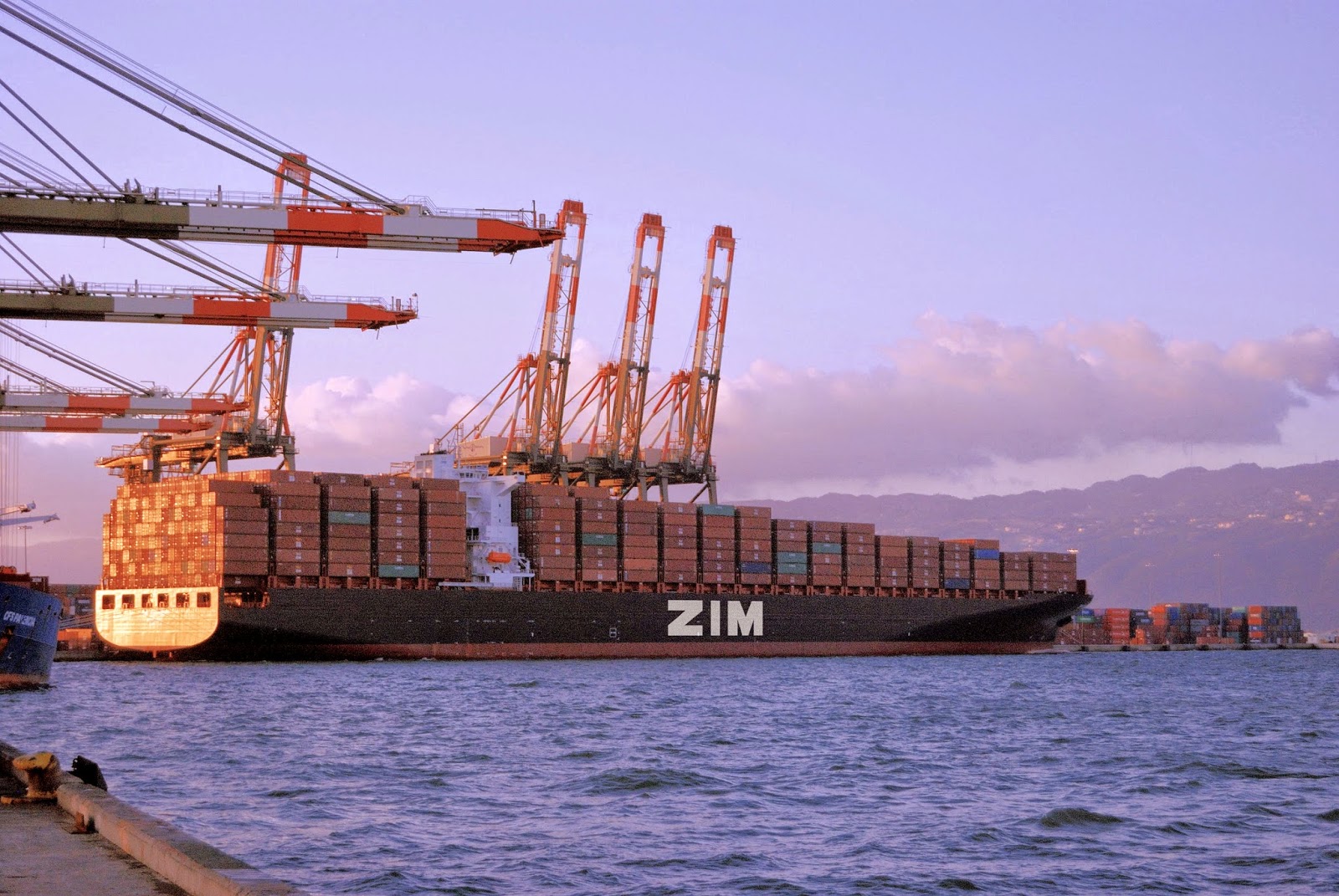 ZIM Cuts Losses Primo Magazine zim-cuts-losses-primo-magazine