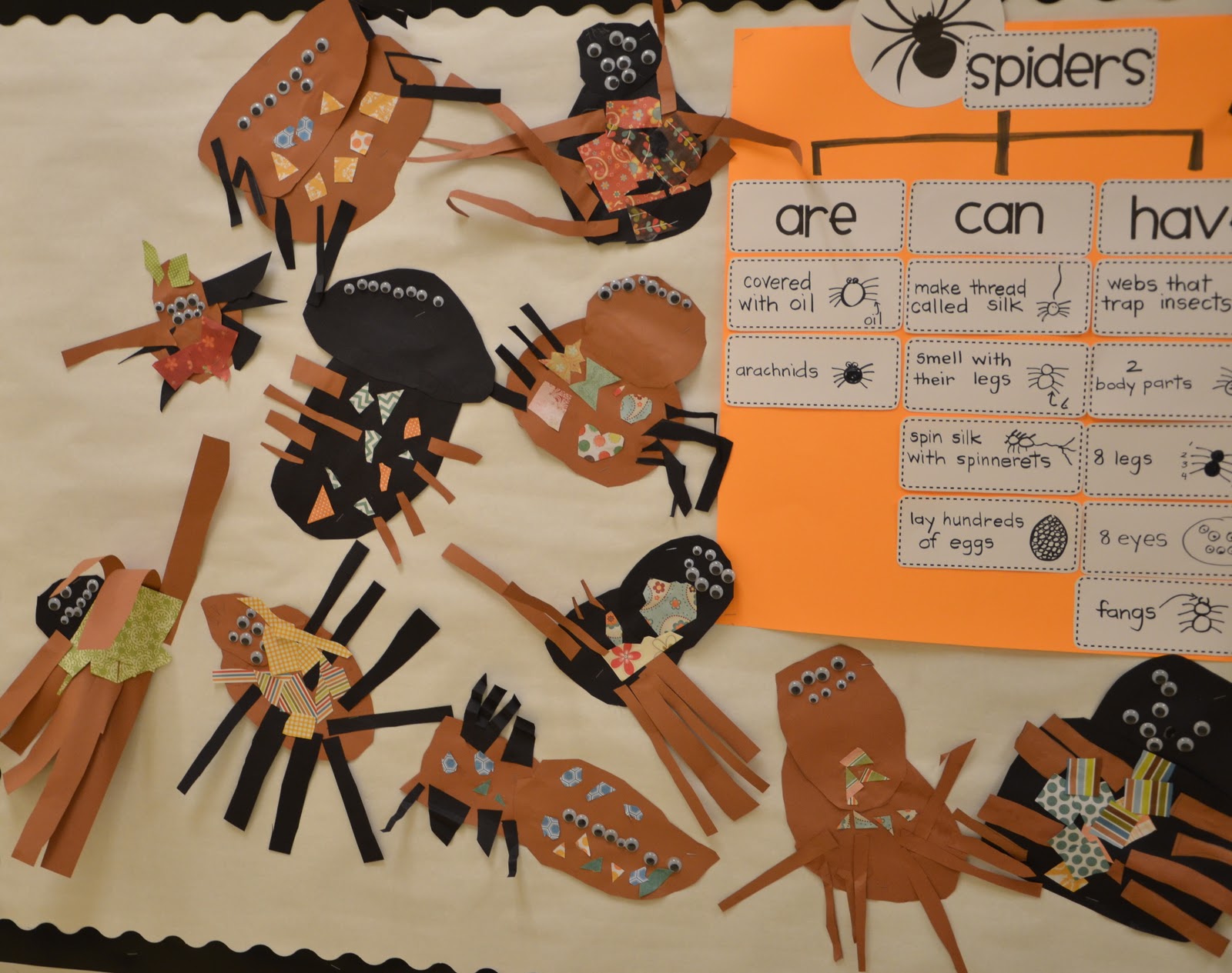 A Place Called Kindergarten: spider research