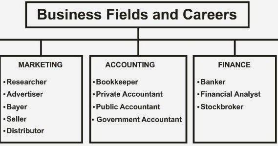 Choosing Your Business Career - The Economics