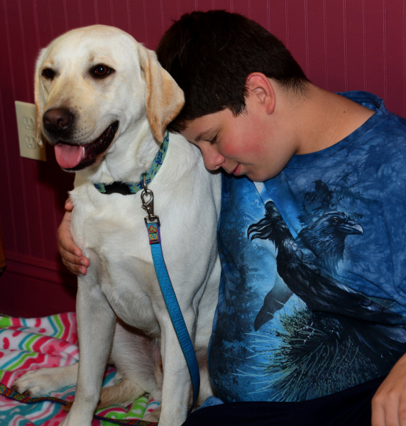 Susquehanna Service Dogs Service Dog Emotional Support Dog Therapy susquehanna-service-dogs-service-dog-emotional-support-dog-therapy