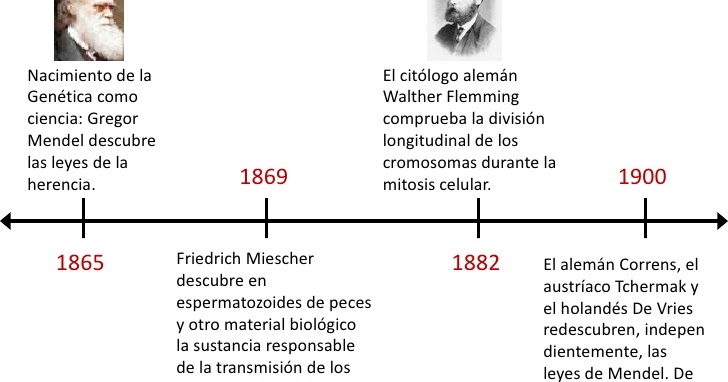 LINEA DE TIEMPO DE LA CIENCIA ~ CIENCIA Y TECNOLOGIA