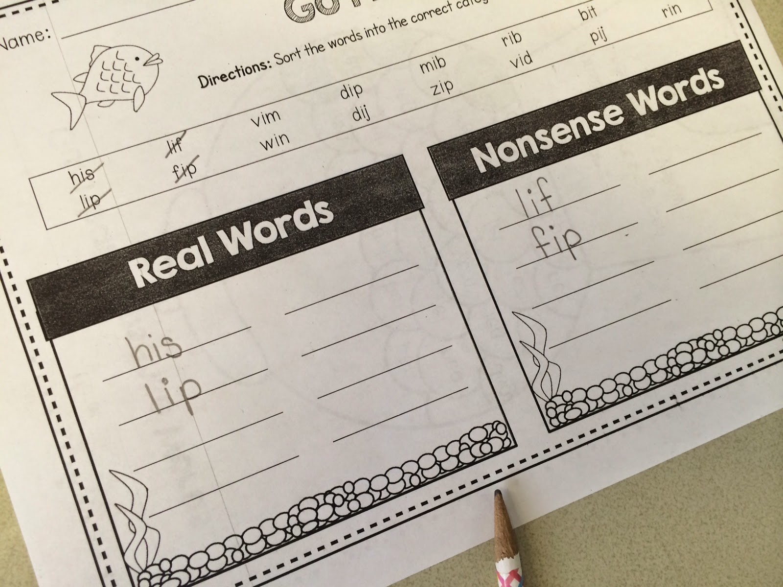 Primary Possibilities: 10 Ways to Practice Nonsense Words for DIBELS!