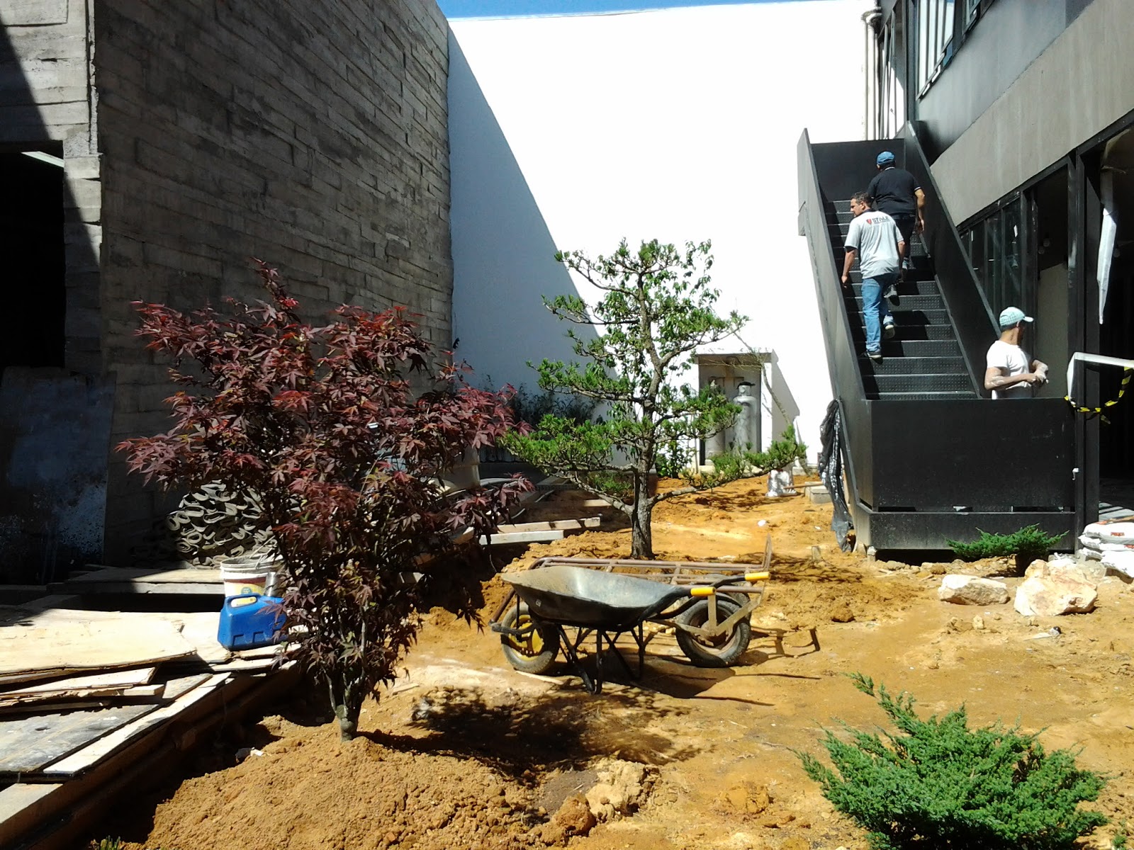 Matsu Nagao: JARDIM DO STUDIO BOOP EM SÃO PAULO