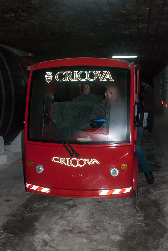 Committed Stitcher: Getting Around Underground