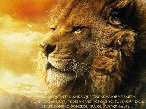 Leones de reggae - Imagui