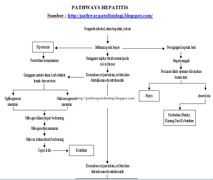 Pathway Hepatitis - Pathway Patofisiologi