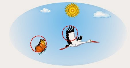 San Diego - 2° Grado: ¿Cómo se desplazan los animales?