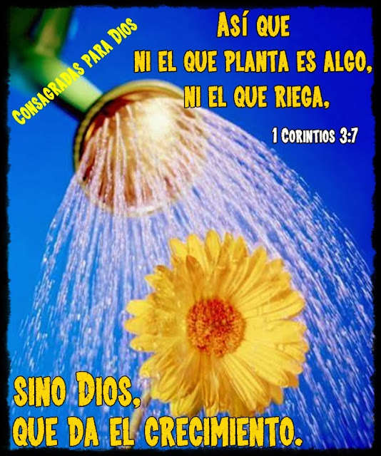CONSAGRADAS PARA DIOS: Dios da el crecimiento CONSAGRADAS PARA DIOS: Dios da el crecimiento