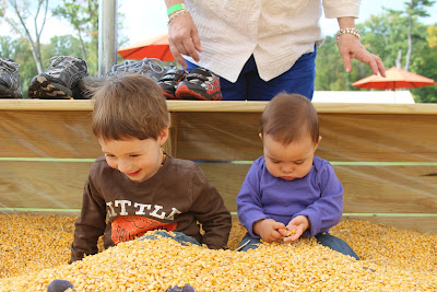 Zayit and Ziva: Farm Sensory Play