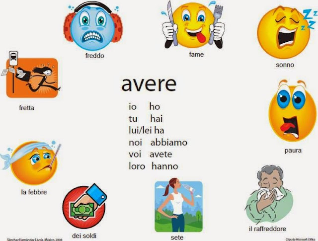 Parlo francese: Espressioni utili con AVERE