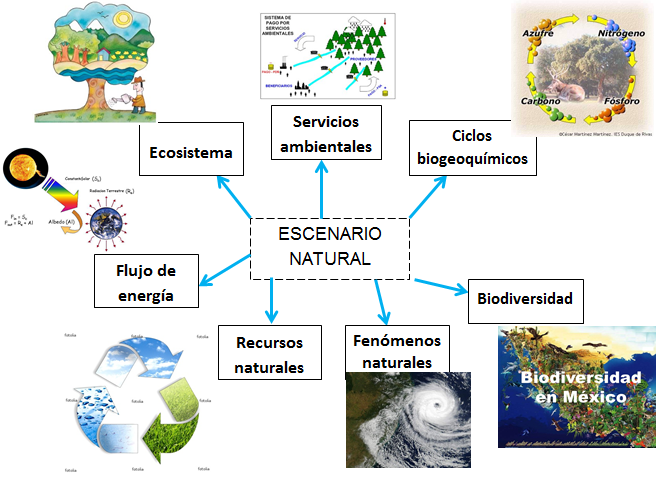 DESARROLLO SUSTENTABLE: 1.3.3 ESCENARIO NATURAL