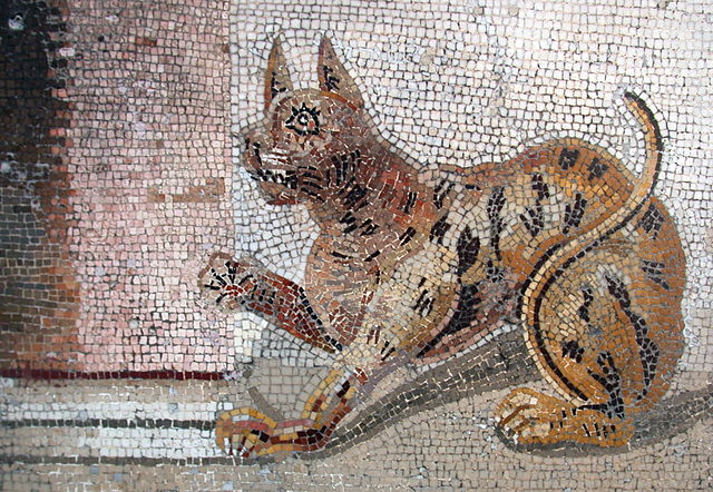 The Cat Alley: Cats of the Roman Legions