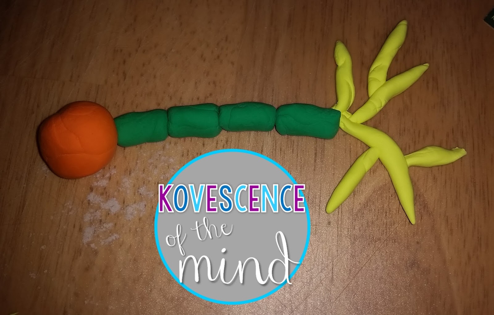 Activities for the Psychology Classroom: Build a Neuron | Kovescence of ...