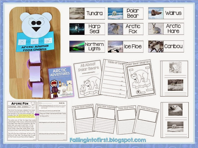 Arctic Adventures | Falling into First