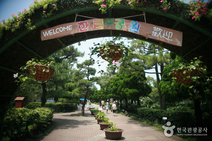 News and Society: Hallim Park – The Theme Park in Jeju Island
