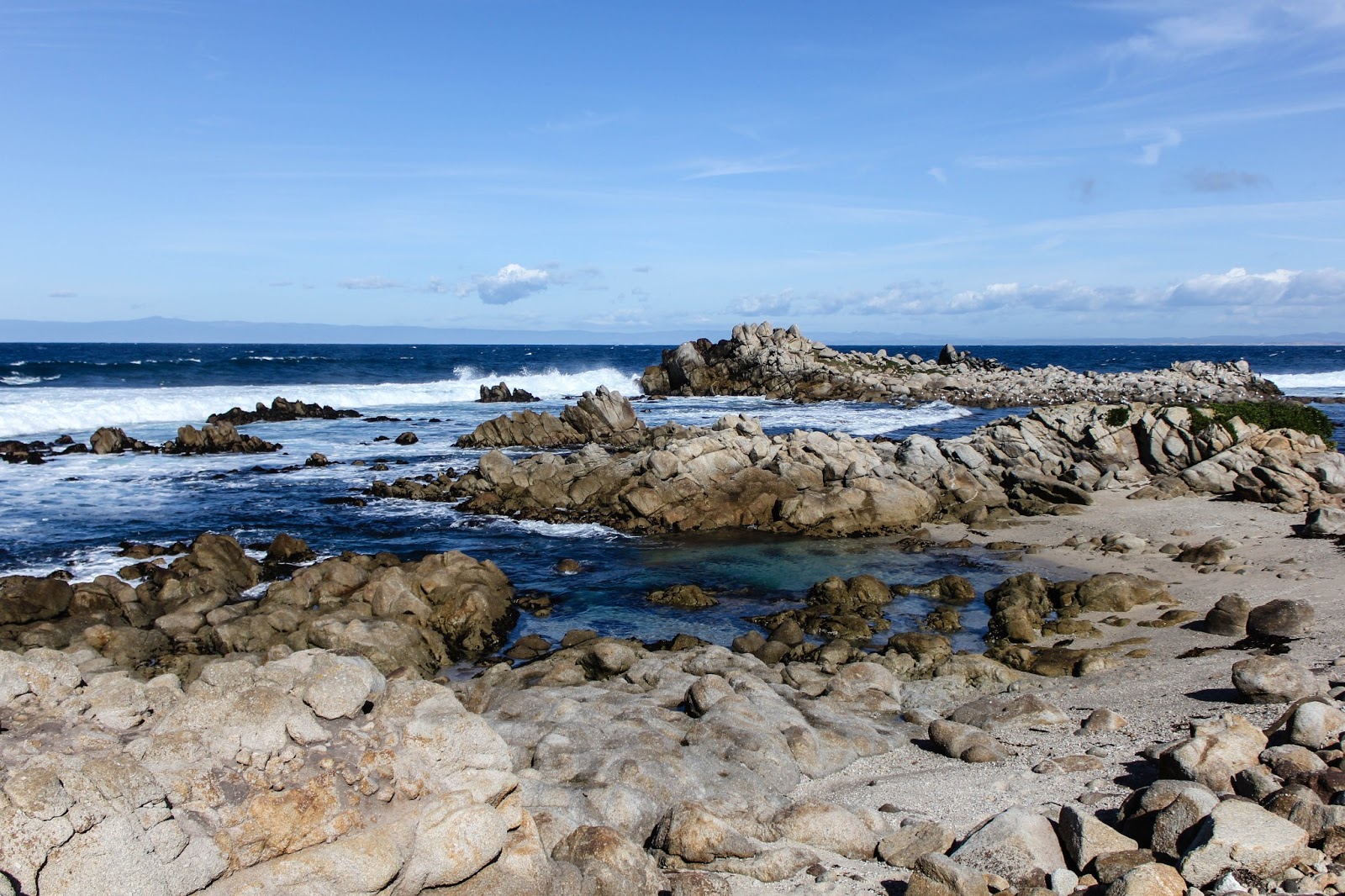 On Call RN The 17 Mile Drive on-call-rn-the-17-mile-drive