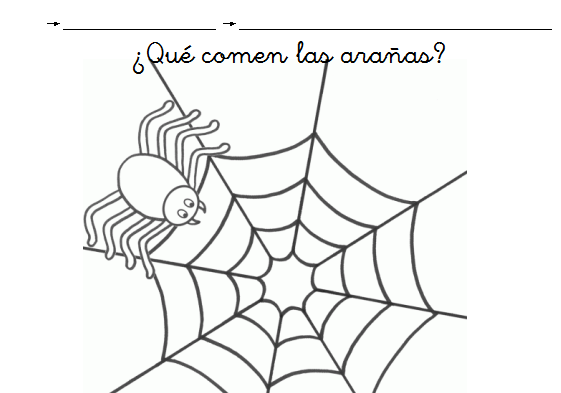 Pequeños monstruitos: FICHAS PROYECTO LAS ARAÑAS