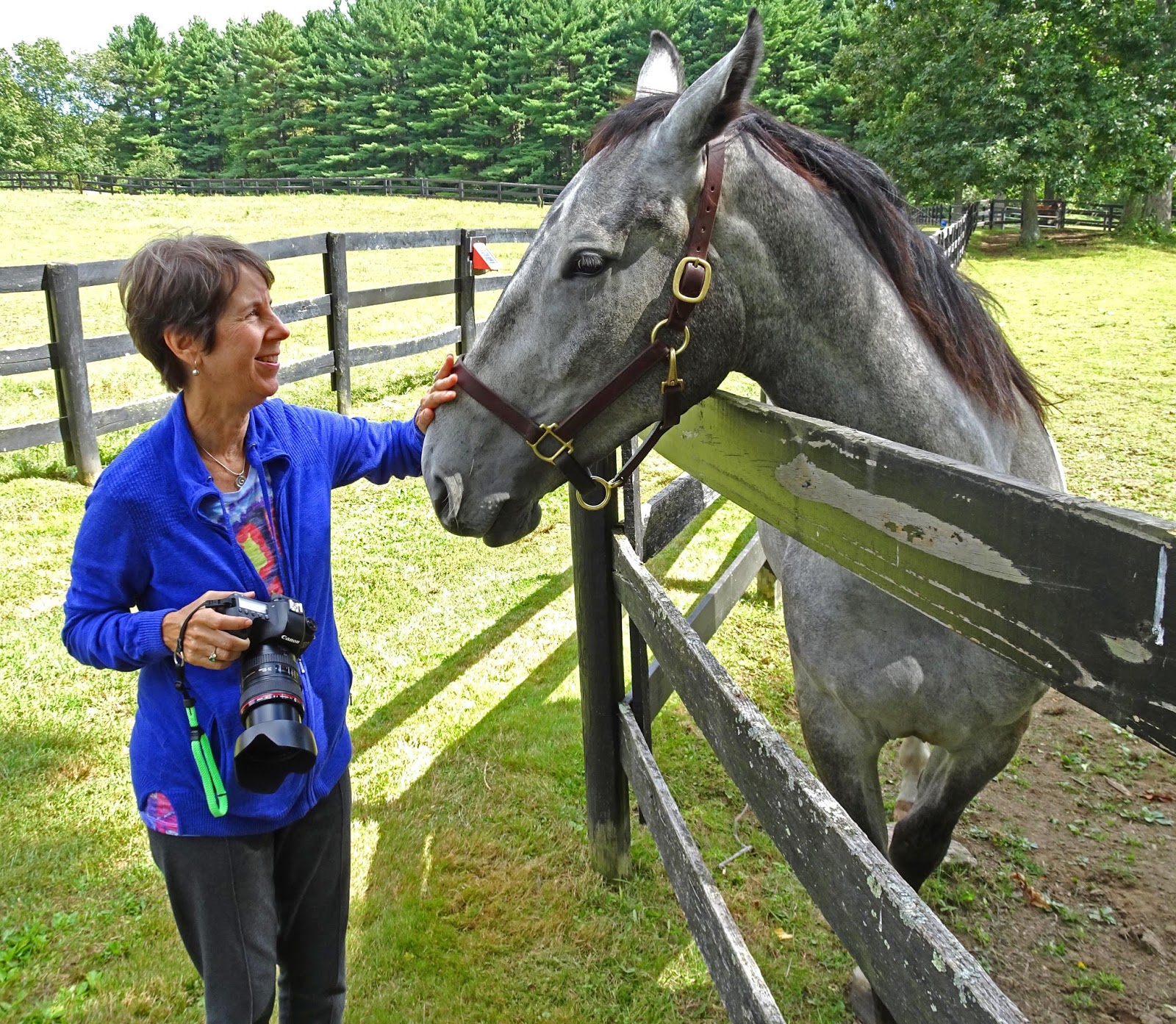 Joe s Retirement Blog Horse Farm Washington Depot Connecticut USA joe-s-retirement-blog-horse-farm-washington-depot-connecticut-usa